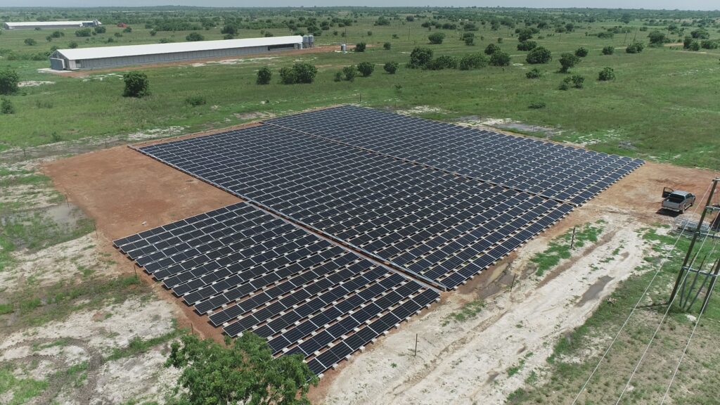 Ground mount solar PV installation saves costs for poultry farm - Dutch ...
